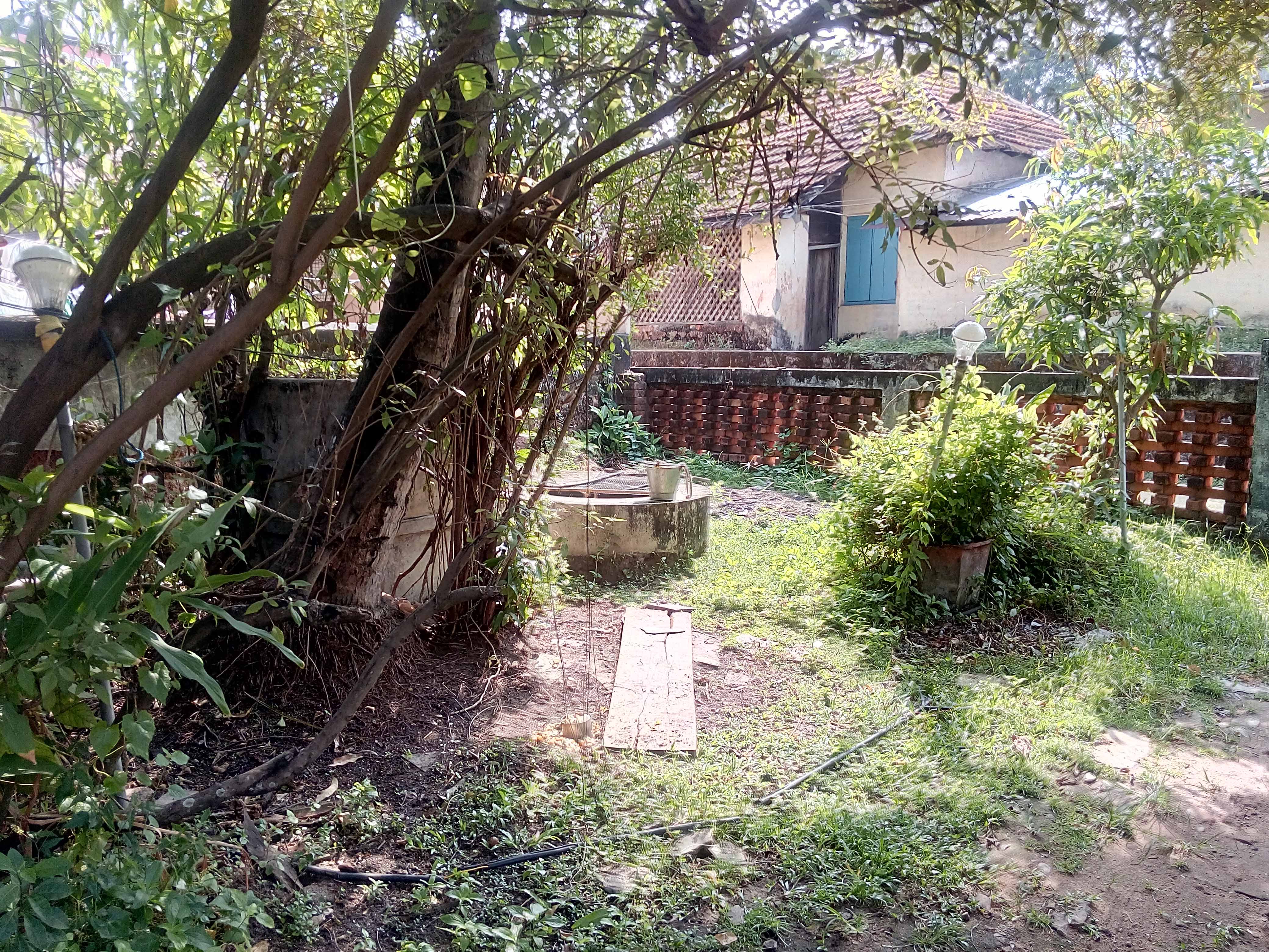 Kalaripayattu :Mathew Gurukkal - Bali Kalari, East of Iron-bridge ...